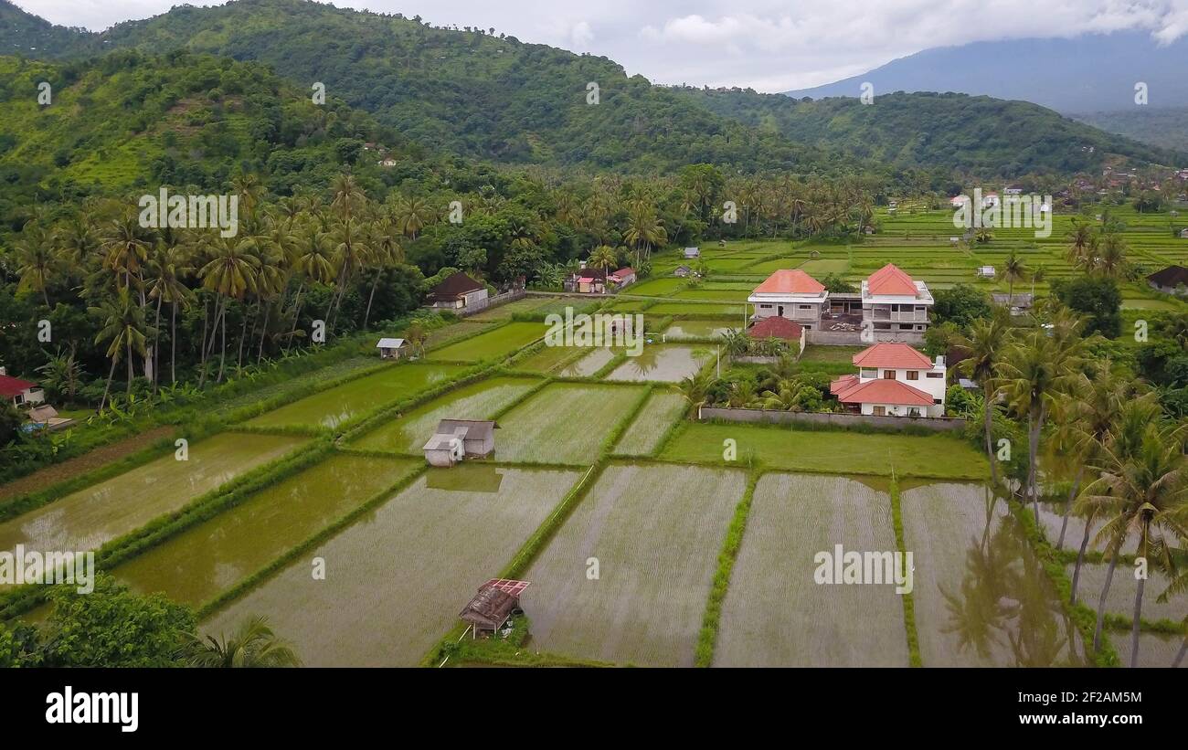 Flying over rice paddies hi-res stock photography and images - Alamy