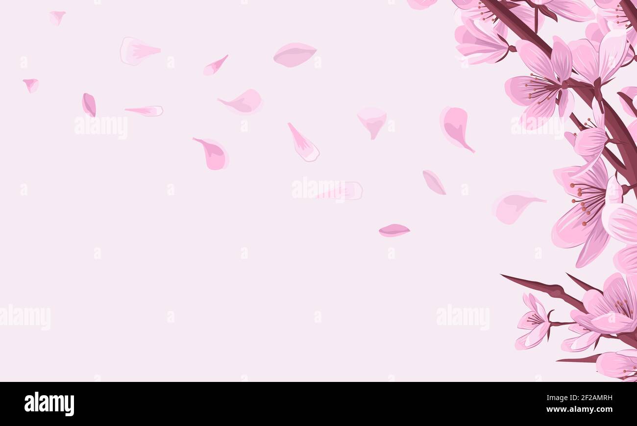 Blooming sakura spring in Stock Vector Images - Alamy