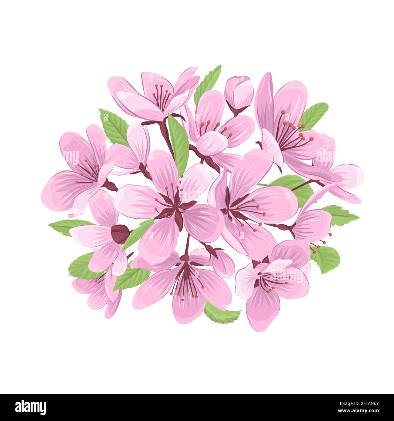 Pink flower chaplet isolated on white background Stock Vector Image ...