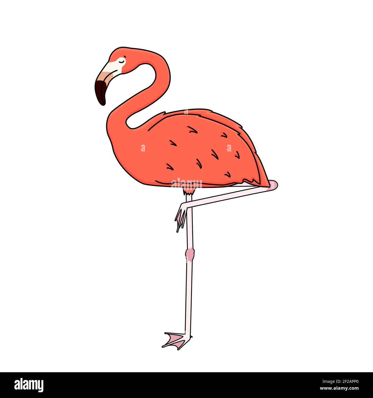 Flamingo stands Cut Out Stock Images & Pictures - Alamy