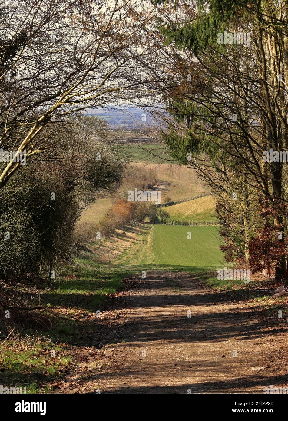 Chiltern landscape in oxfordshire hi-res stock photography and images ...