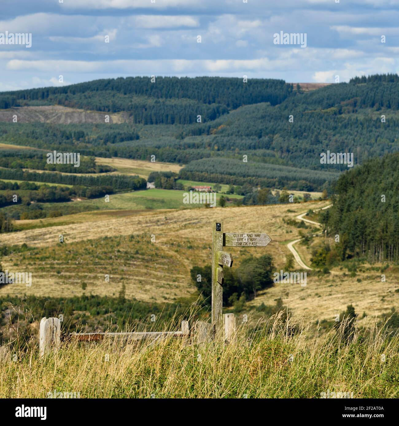 Wooden fingerpost (Cleveland Way National Trail), scenic hilltop ...