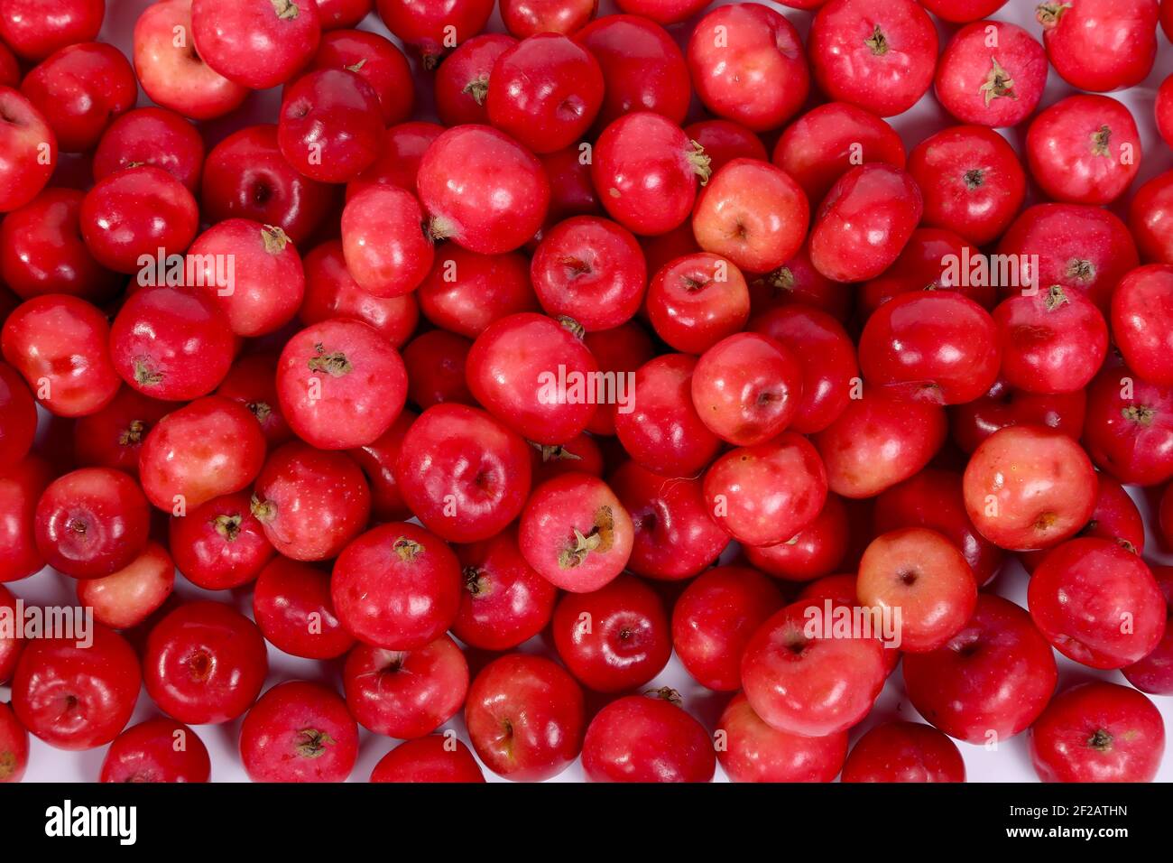 Still-life with fresh small red apples Stock Photo - Alamy