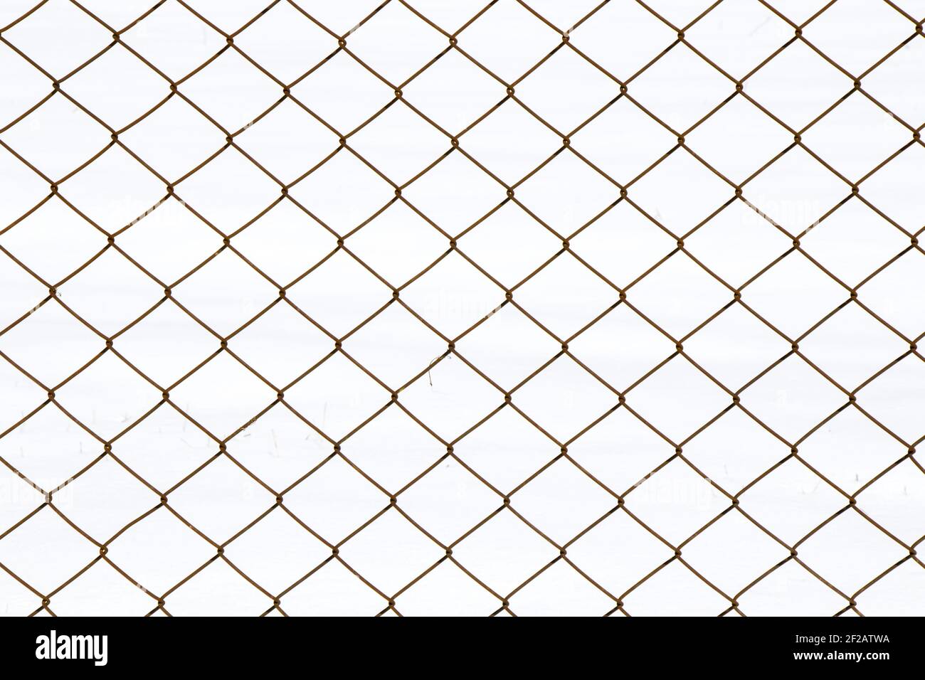Barbed wire net fence Cut Out Stock Images & Pictures - Alamy