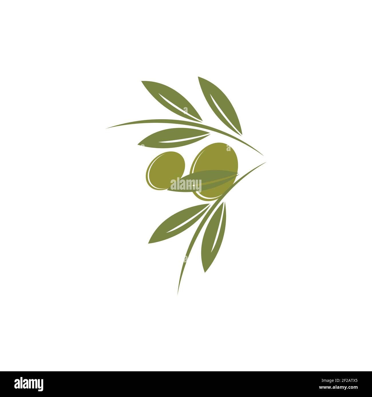 Olive logo template vector icon illustration design Stock Vector Image ...