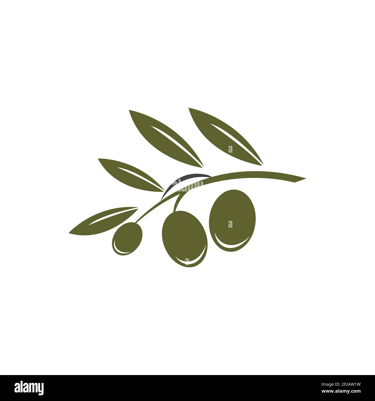 Olive logo template vector icon illustration design Stock Vector Image ...