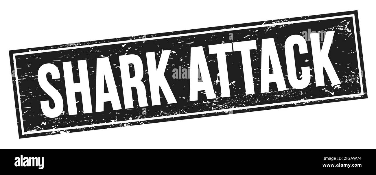 Shark attack Black and White Stock Photos & Images - Alamy