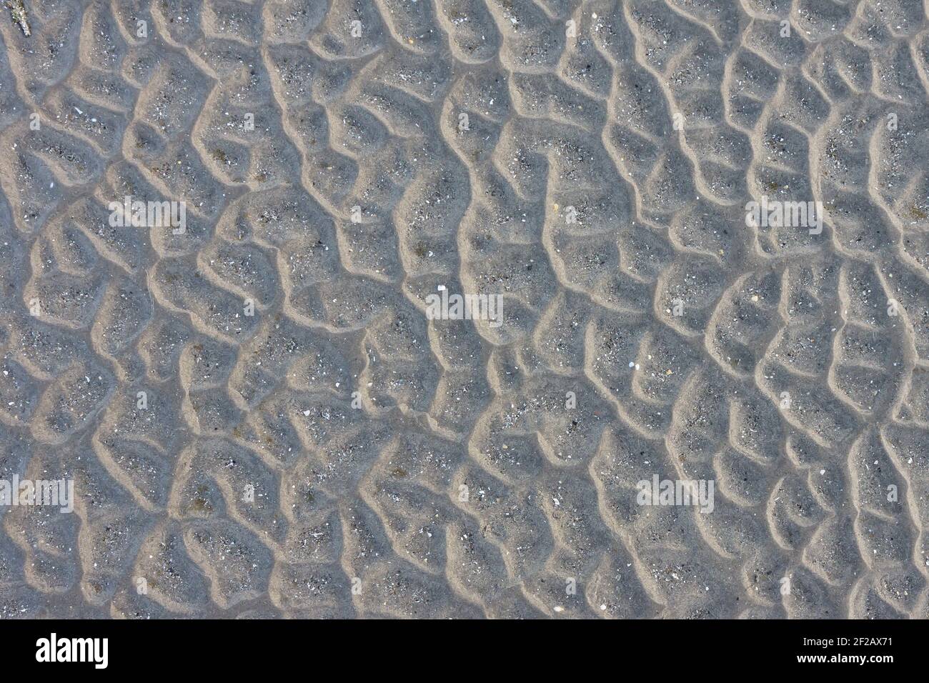 Beach texture, low tide beach, sand structure, beach texture, sand, low ...