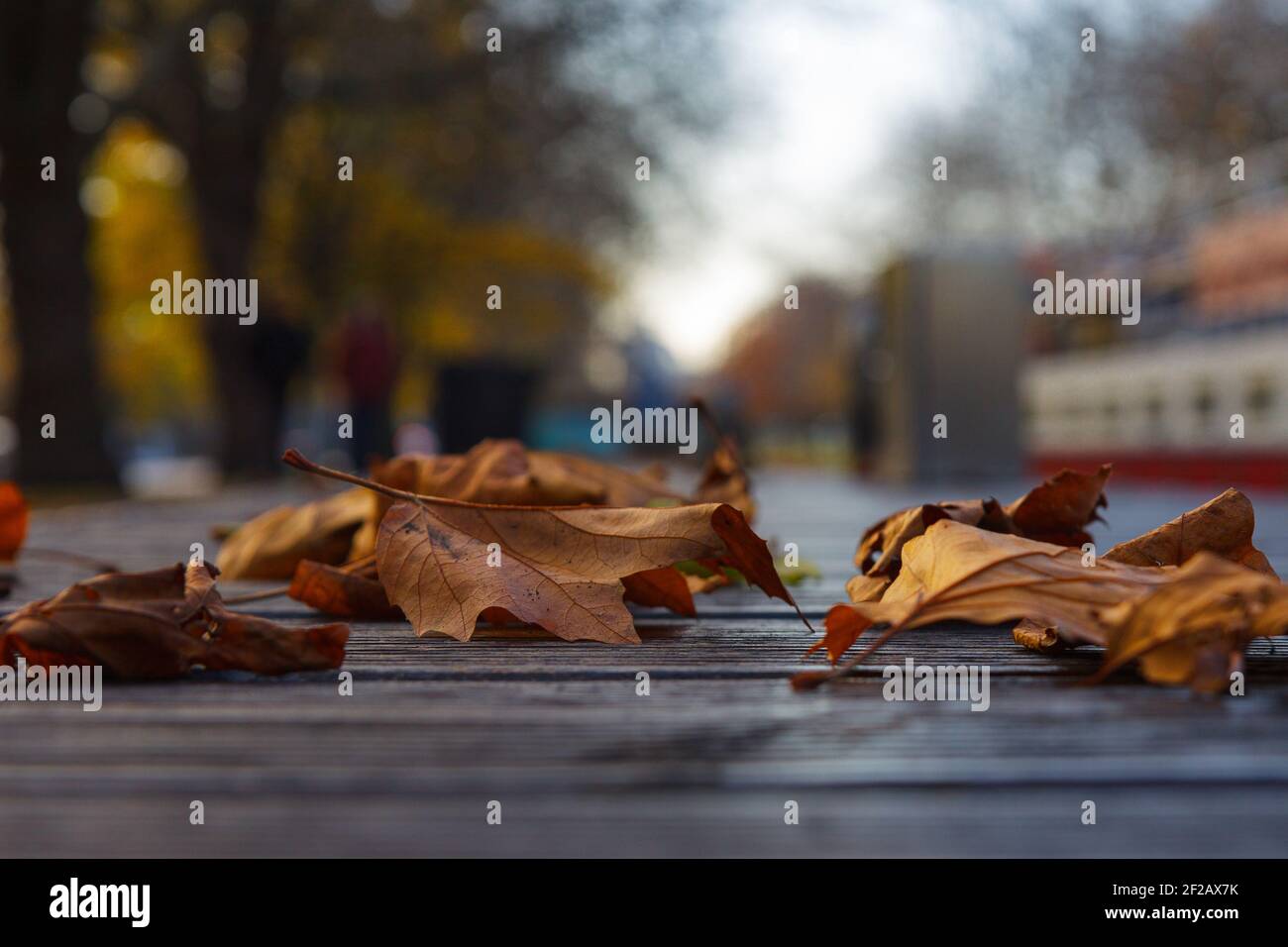 Old barge texture hi-res stock photography and images - Alamy