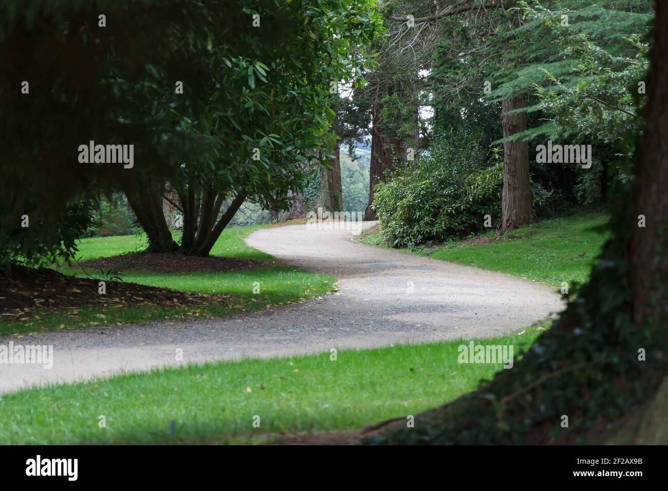 Winding gravel path through the park, vivid green, meandering walkway ...