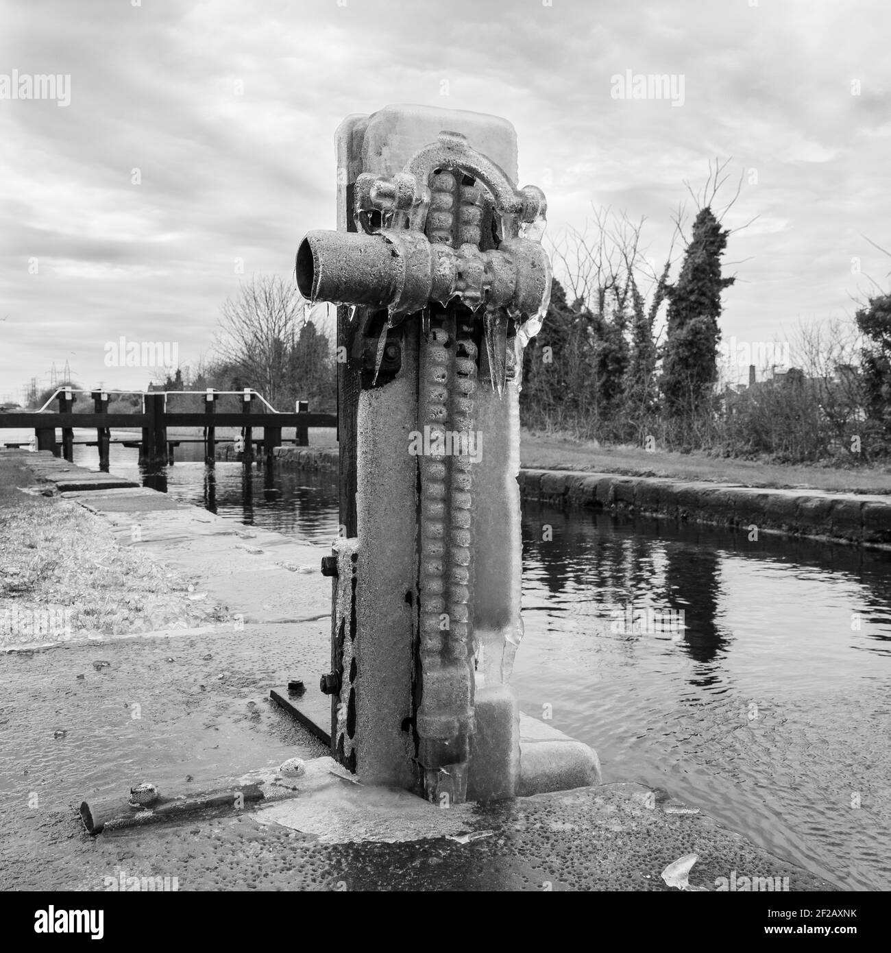 Ice on grass in Black and White Stock Photos & Images - Alamy
