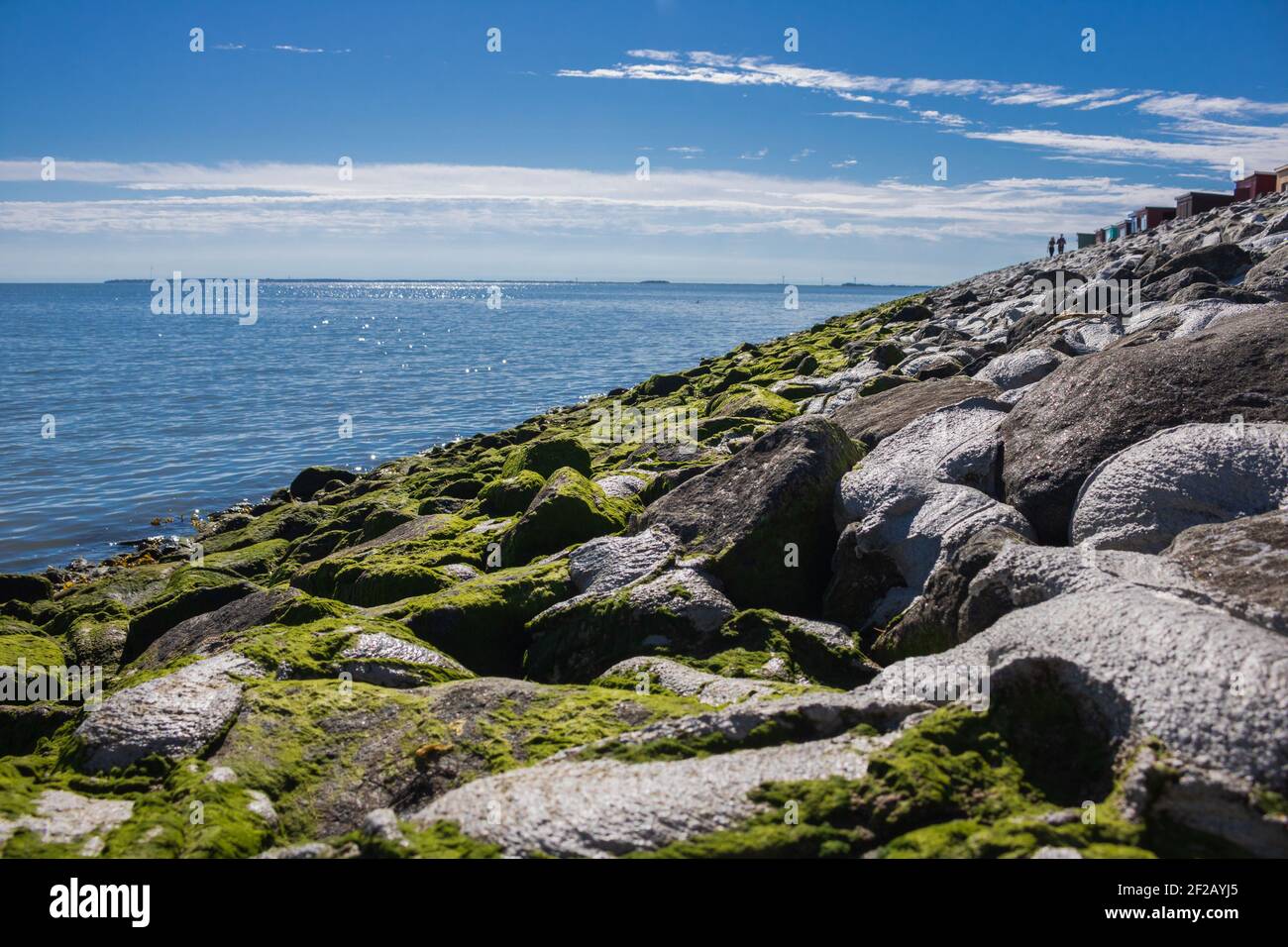 A scenic seashore with a waterscape and rocks covered with green moss ...