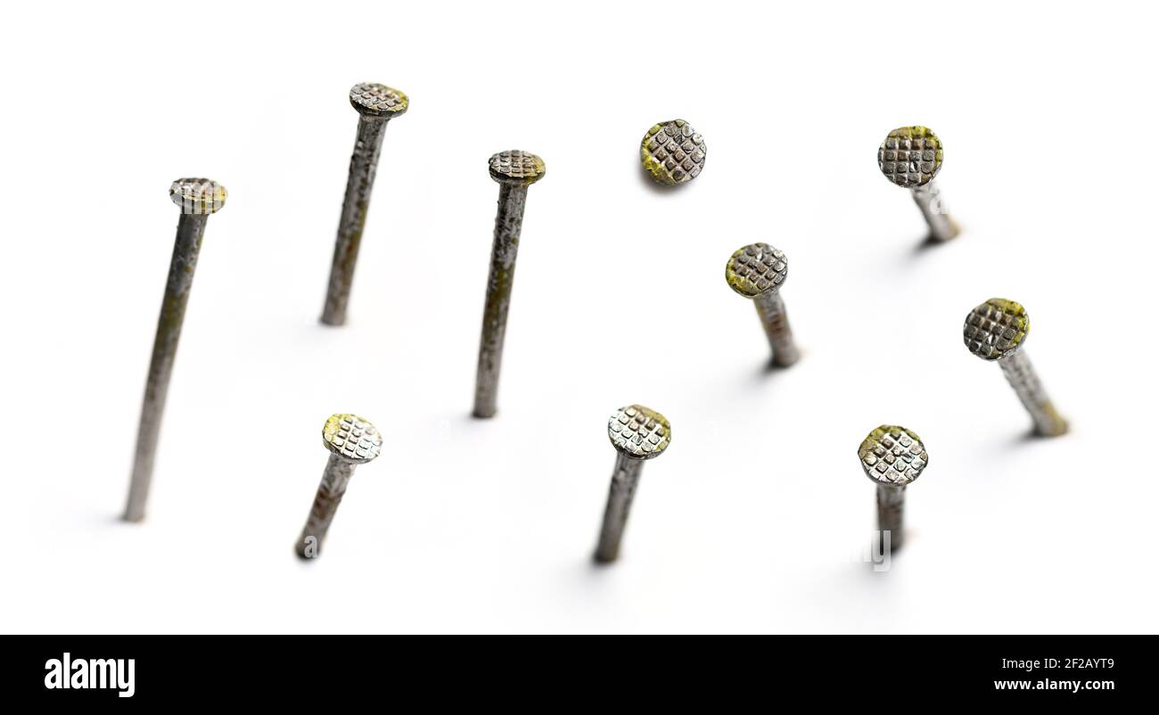 Steel nails collection on white background. Set Stock Photo - Alamy