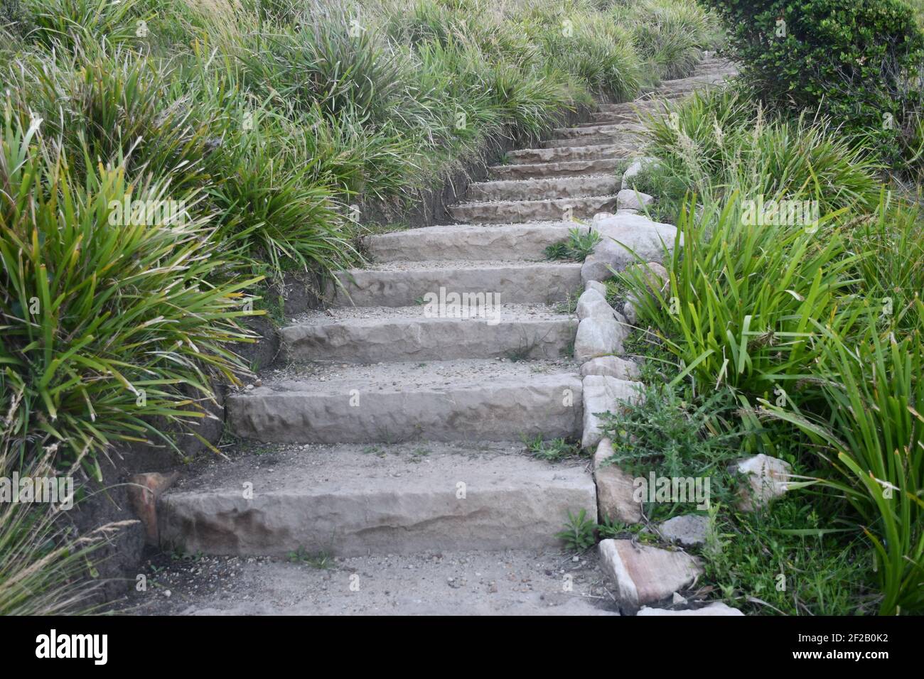 The stairs in the park in Australia Stock Photo - Alamy
