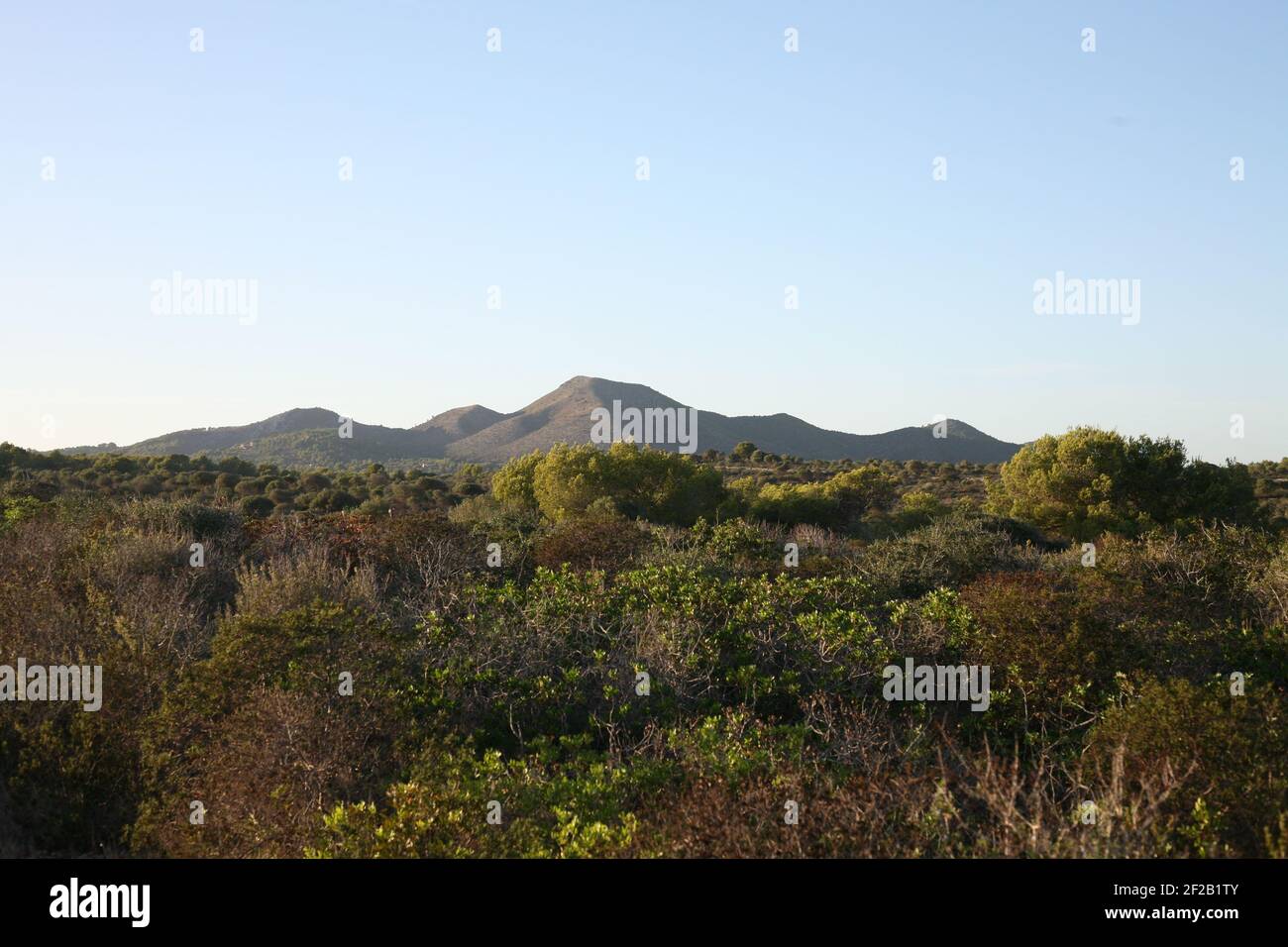 A stunning view of mountains from a conservation area near Cala Bota ...
