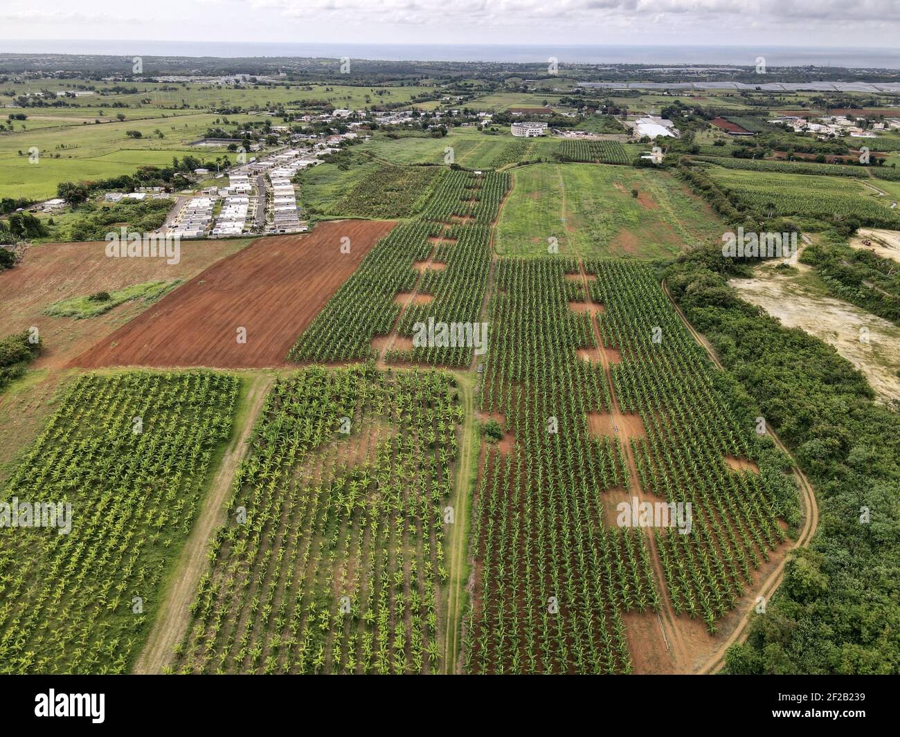 Puerto rican cuisine hi-res stock photography and images - Alamy