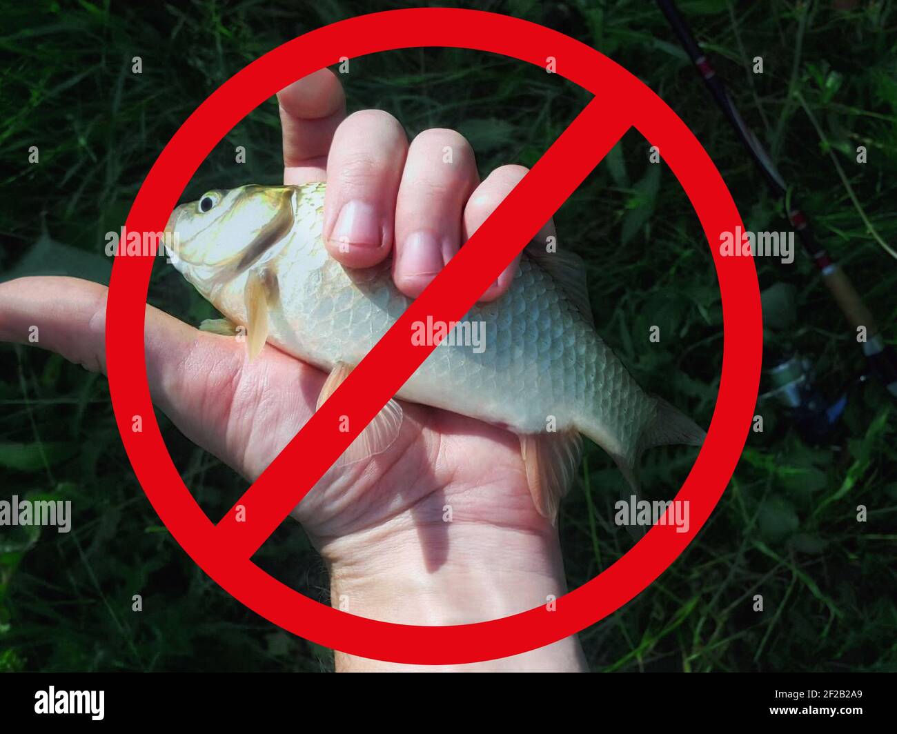 Prohibiting the concept of fishing. Fish in the hand and prohibitory ...