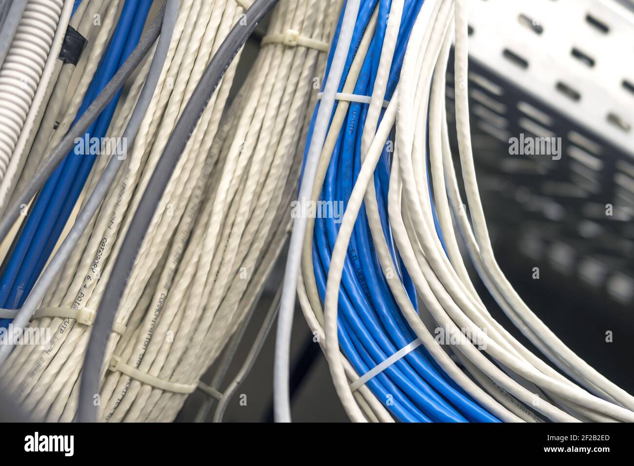 Network wires for local area network (LAN) and internet, close up Stock ...