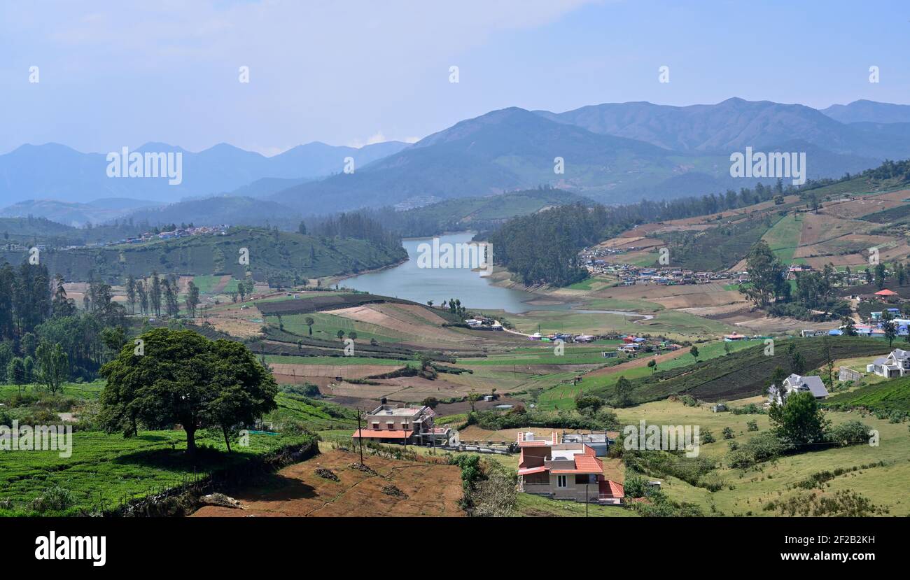 Nilgiris hill hi-res stock photography and images - Alamy
