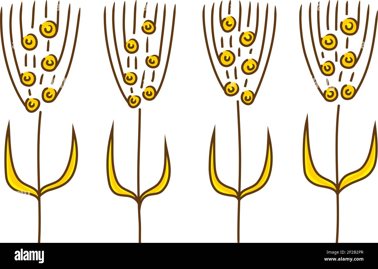 Grain plants background Stock Vector Images - Alamy