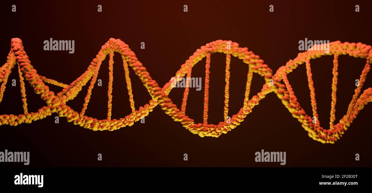 Polynucleotide chain hi-res stock photography and images - Alamy