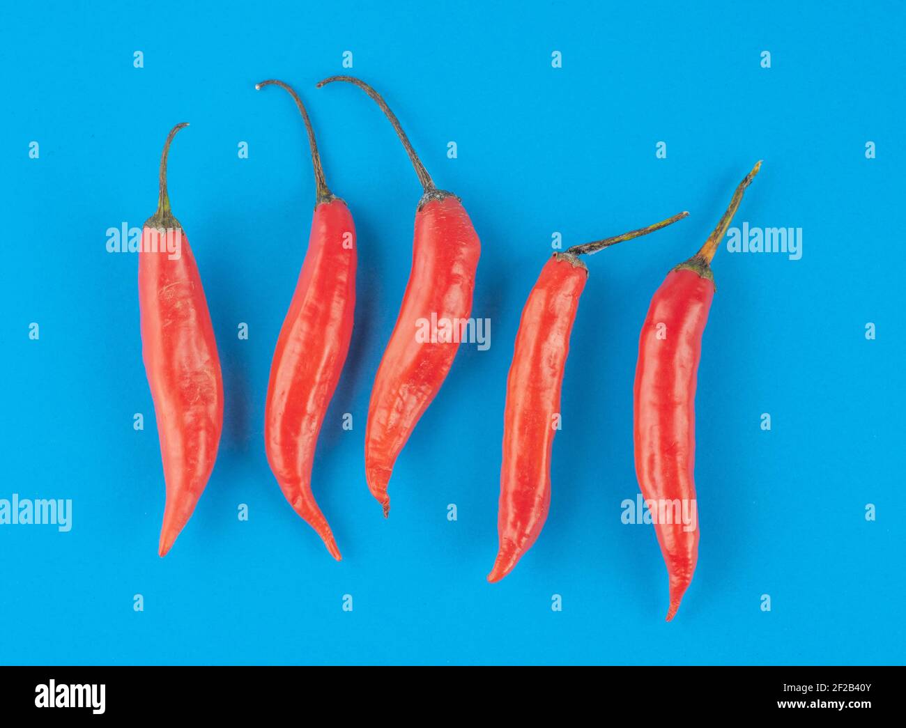Group of red peppers over blue background. High contrast backdrop Stock ...