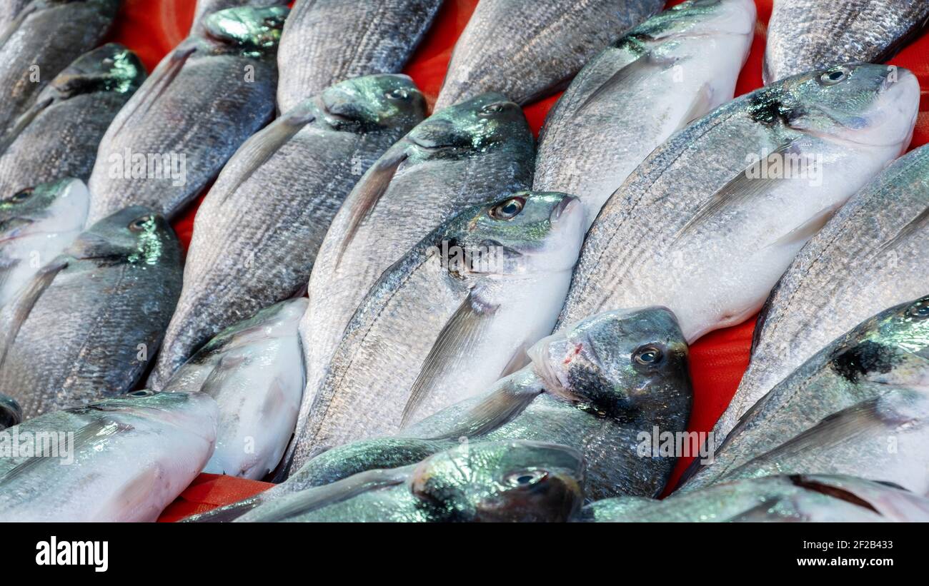 fresh fishes at the fish market Stock Photo - Alamy
