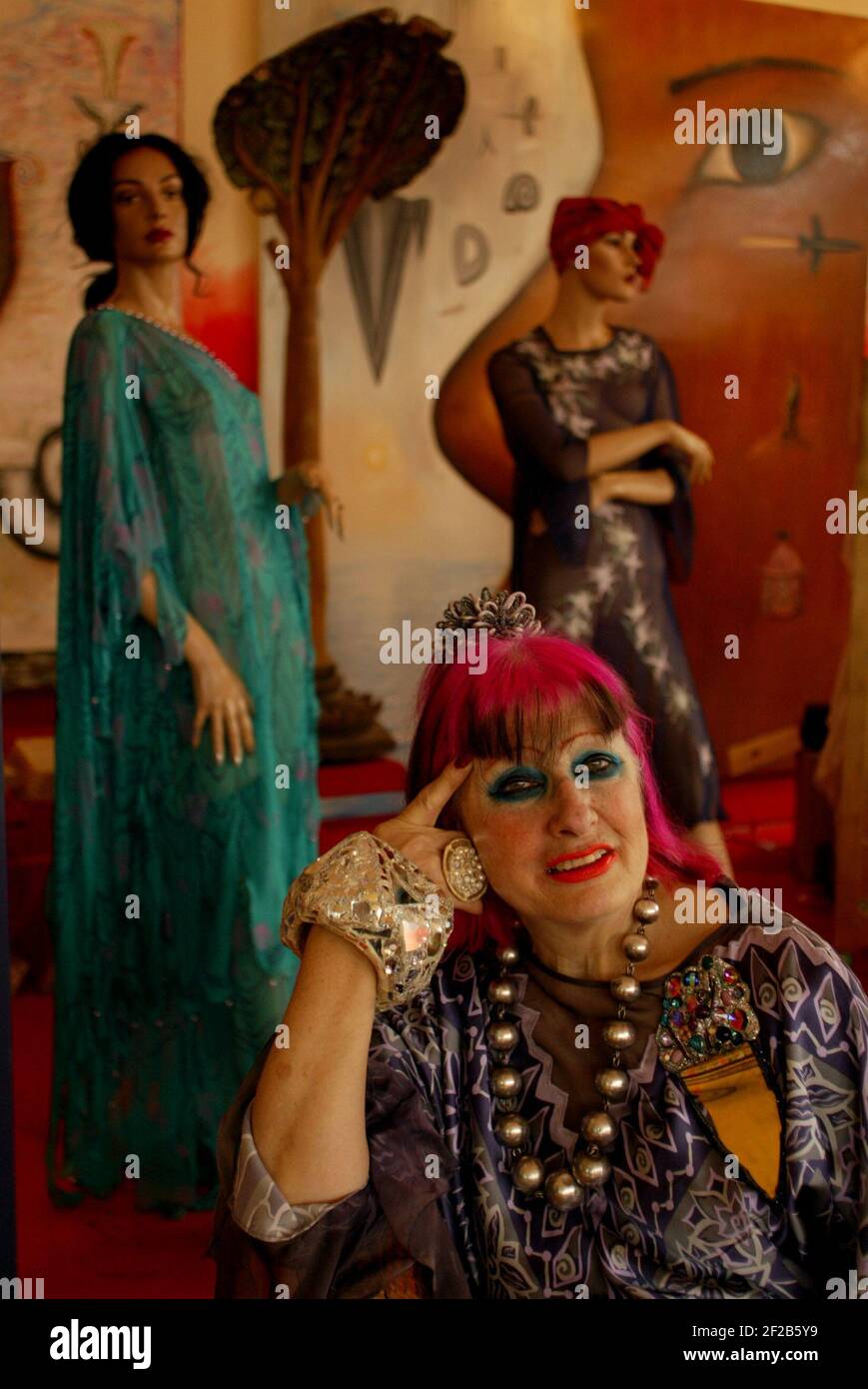 Zandra rhodes home hi-res stock photography and images - Alamy