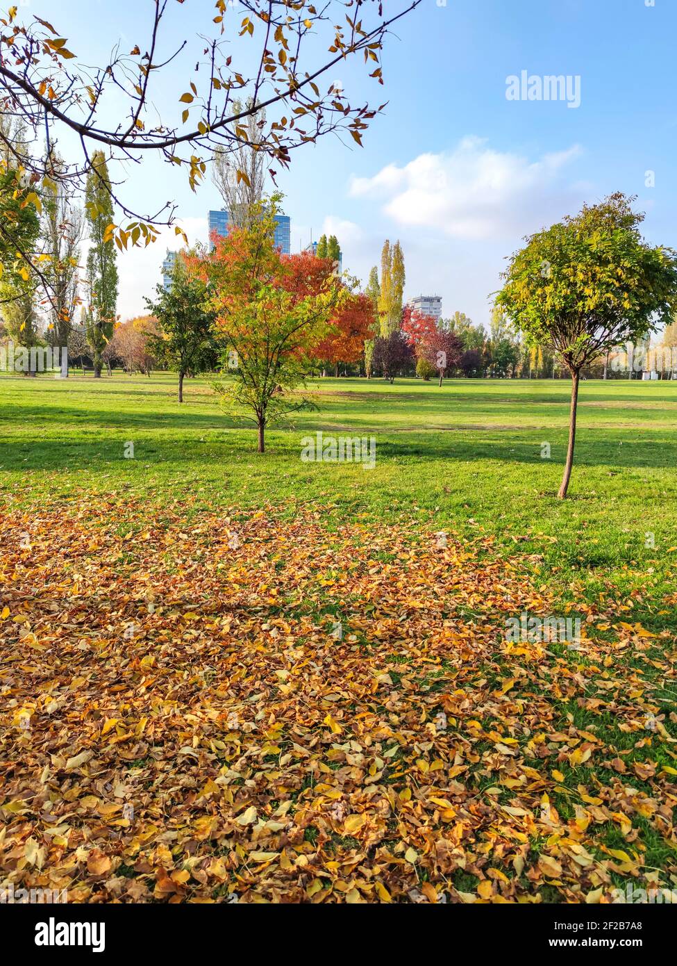 Autumn view of South Park in city of Sofia, Bulgaria Stock Photo - Alamy