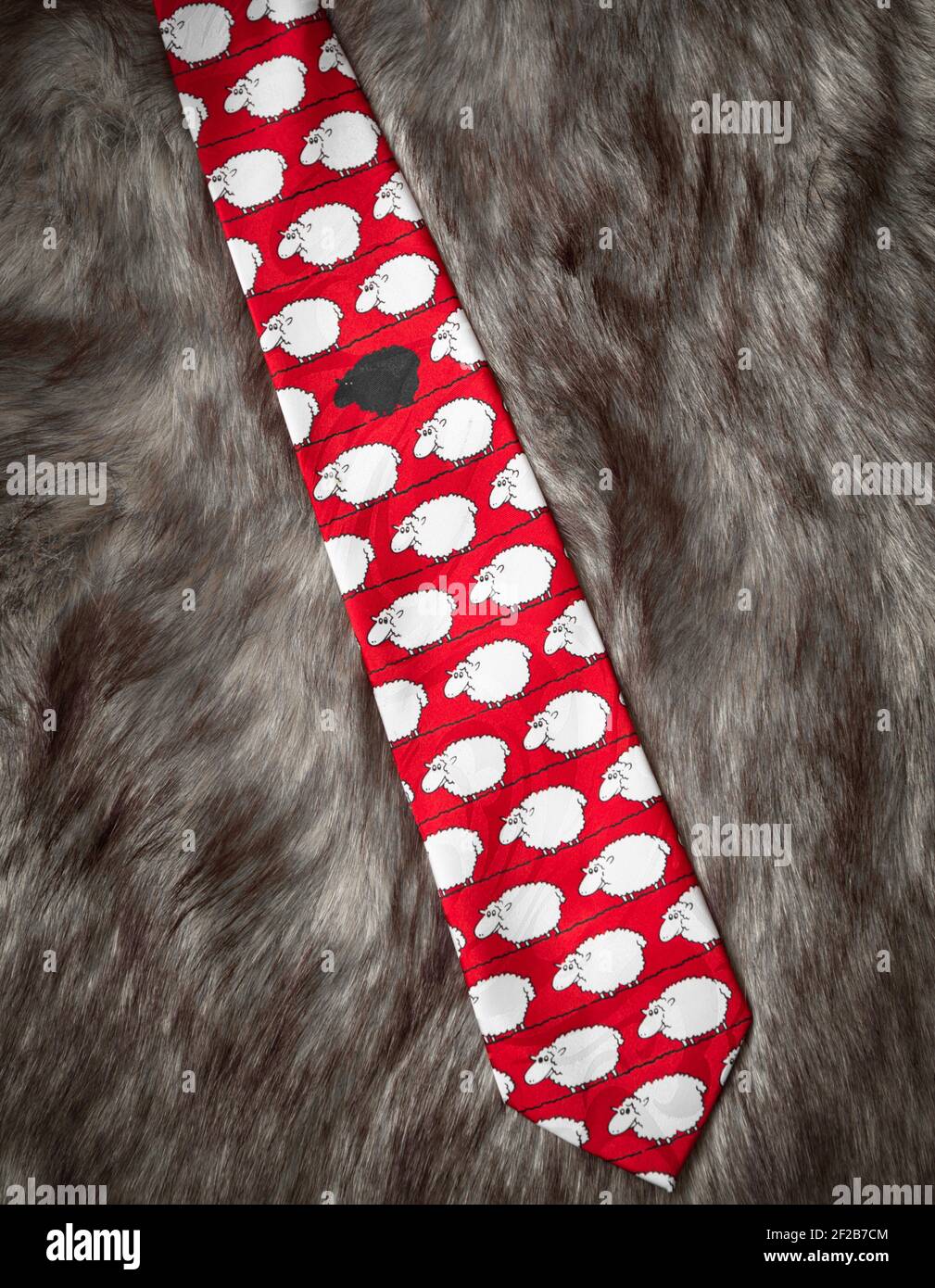 Different colored sheep hi-res stock photography and images - Alamy