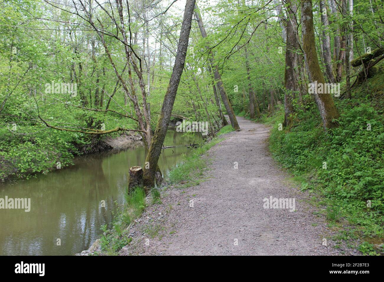 Path of peace hi-res stock photography and images - Alamy