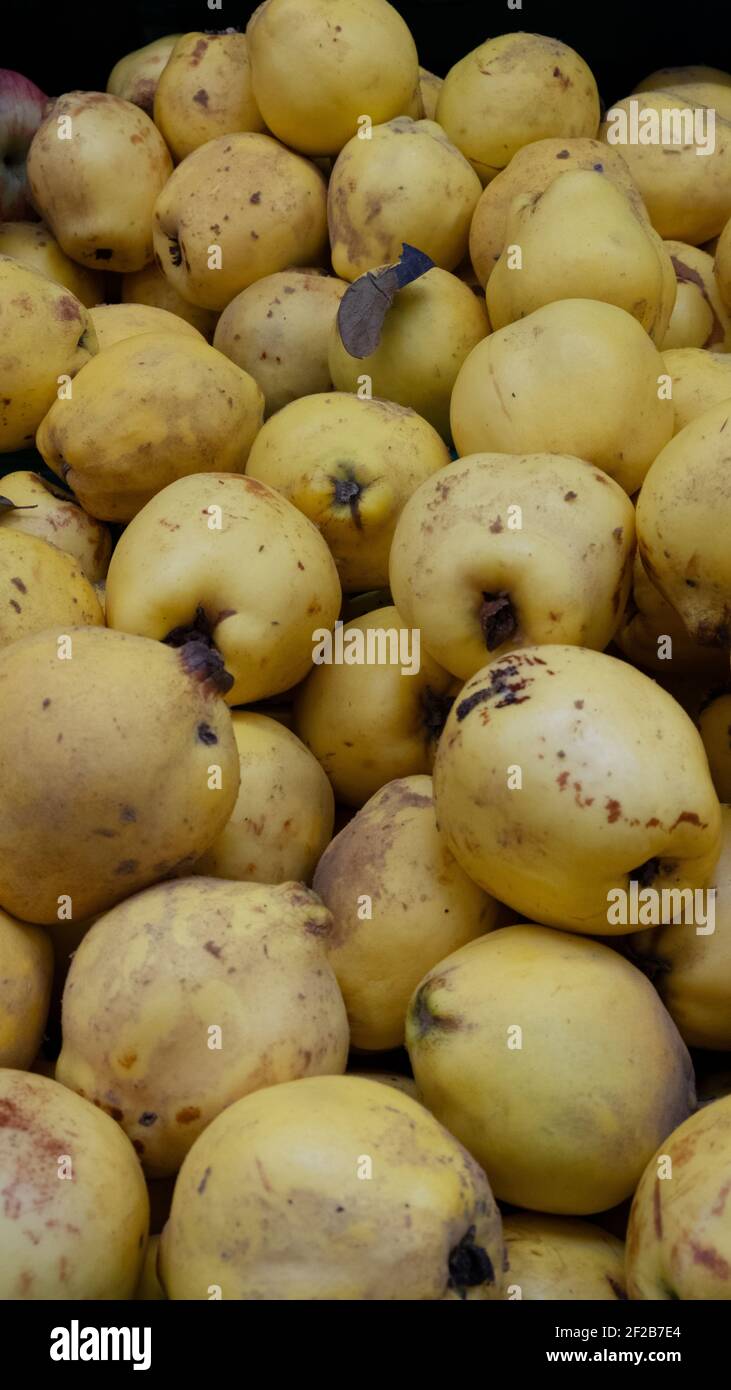 Organic quince hi-res stock photography and images - Alamy