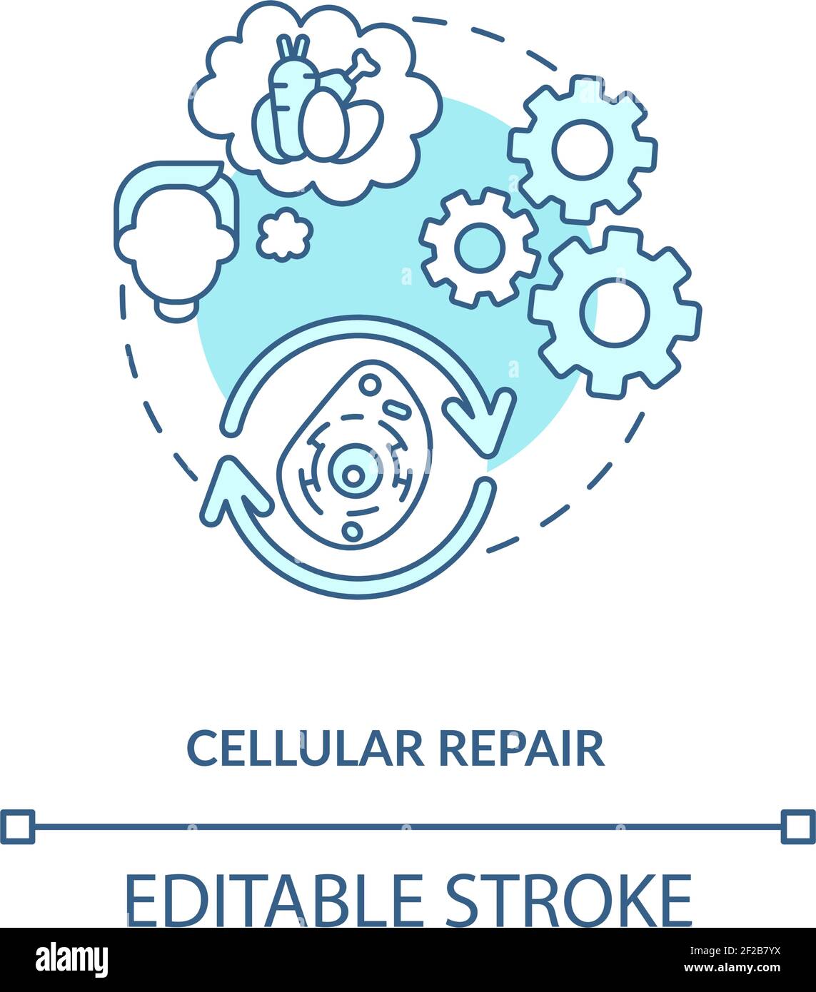 Cellular repair blue concept icon Stock Vector Image & Art - Alamy