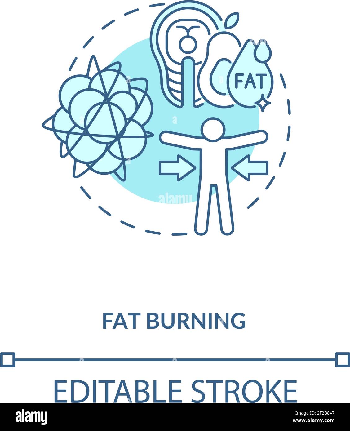 Fat burning blue concept icon Stock Vector Image & Art - Alamy
