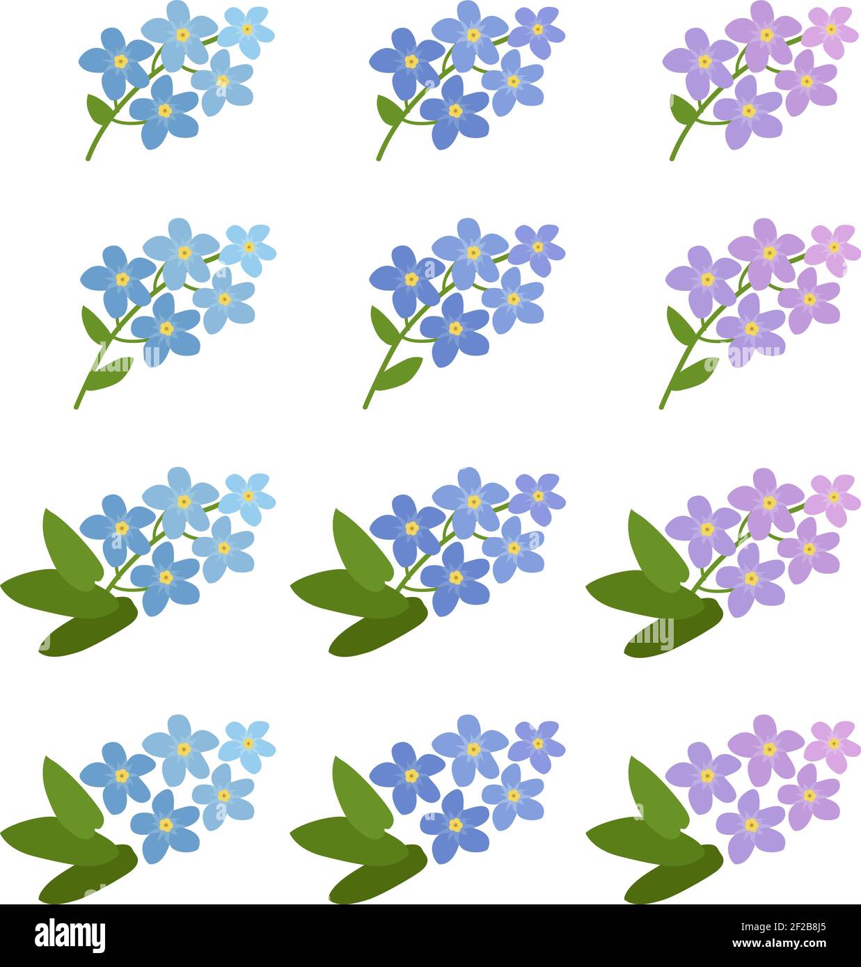 Forget-me-not flower - vector illustration Stock Vector Image & Art - Alamy