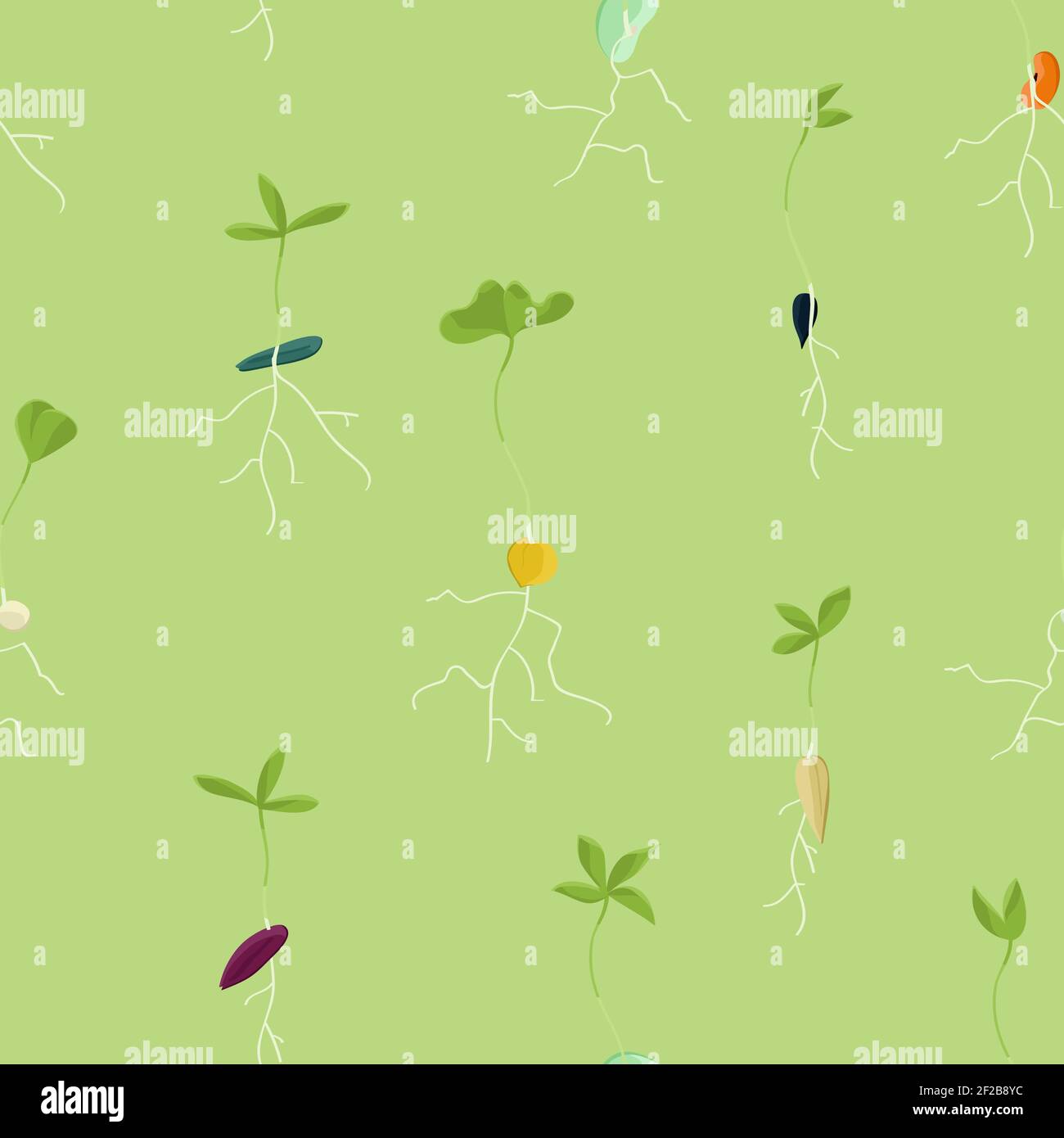 Growing seeds - vector background Stock Vector Image & Art - Alamy