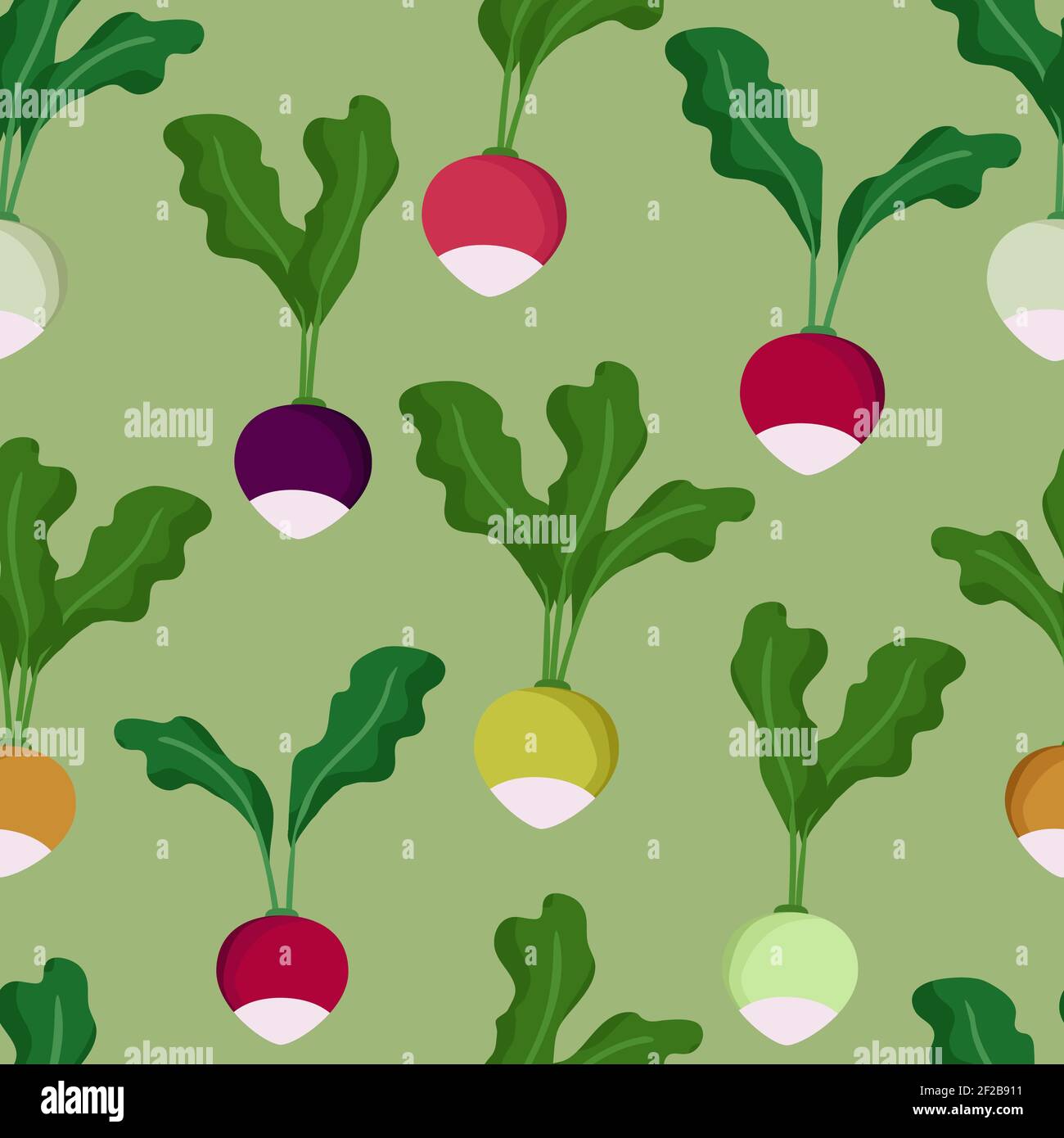 Colorful radish - vector background Stock Vector Image & Art - Alamy