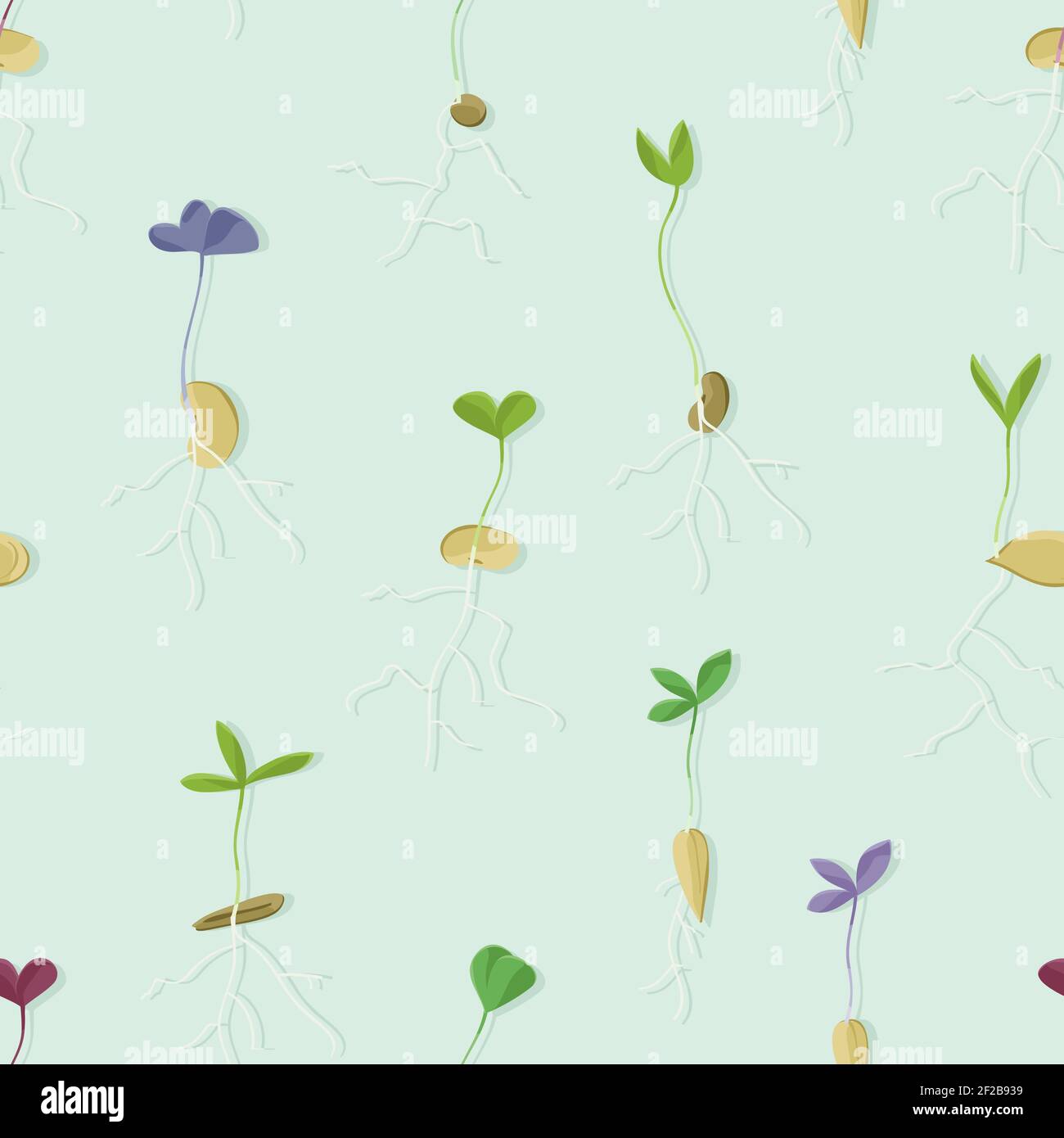 Growing seeds - vector background Stock Vector Image & Art - Alamy