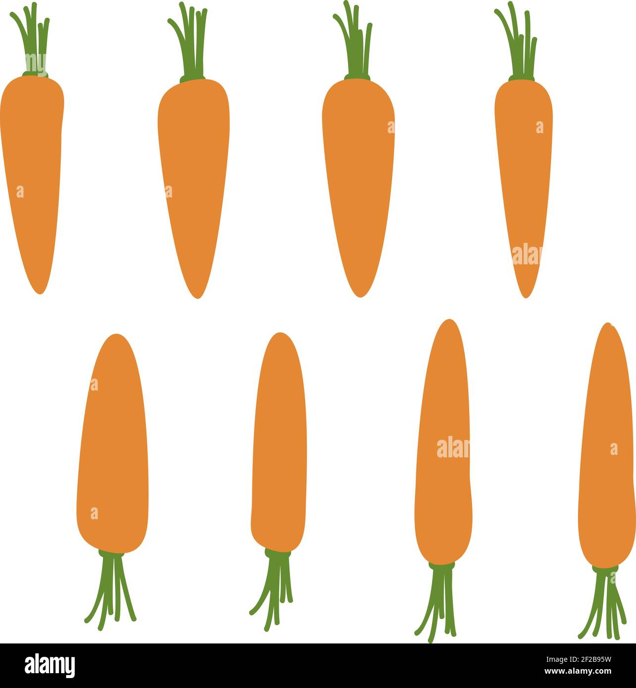 Carrots - vector illustration Stock Vector Image & Art - Alamy