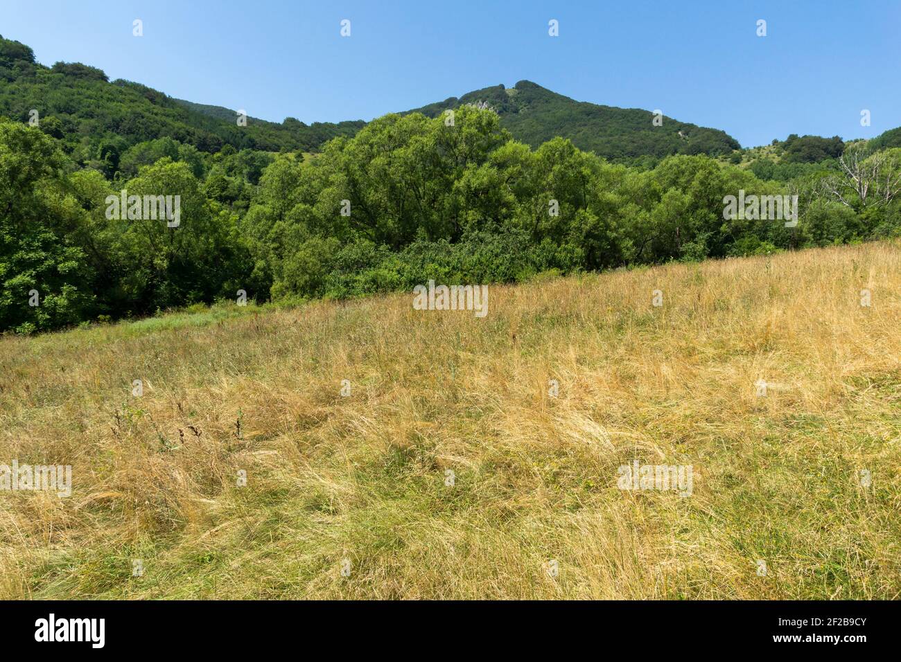 Amazing view of Stara Planina Mountain near village of Zasele, Bulgaria ...