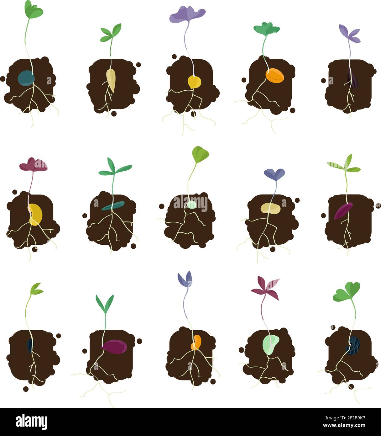 Set of growing seeds - vector illustrations Stock Vector Image & Art ...