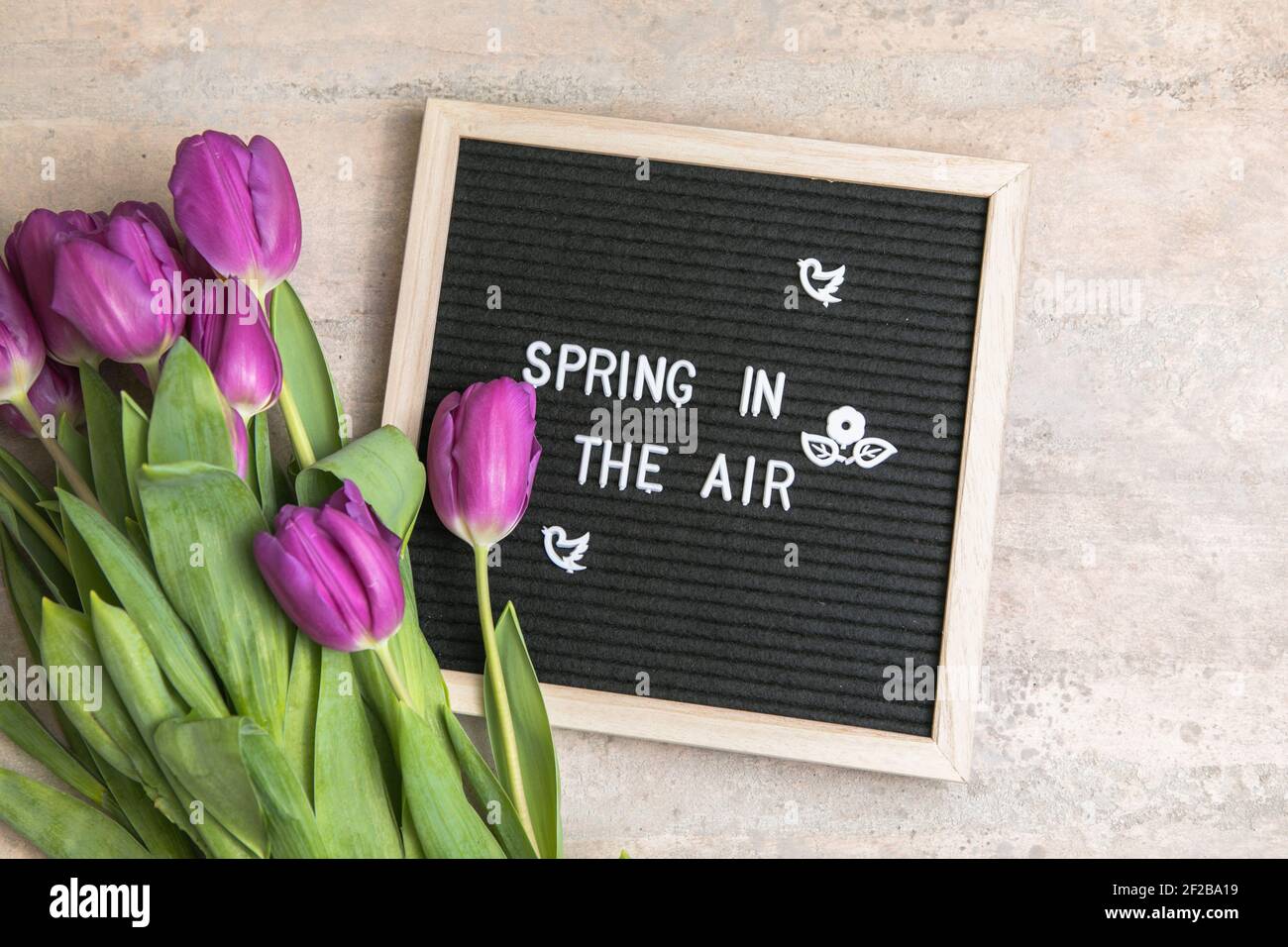 Text Spring in the air on letter board and bouquet of purple Tulips ...