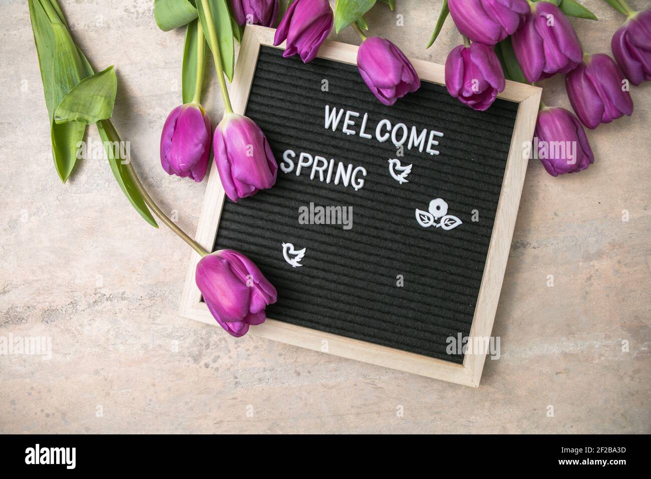 Text Welcome Spring on letter board and bouquet of purple Tulips ...