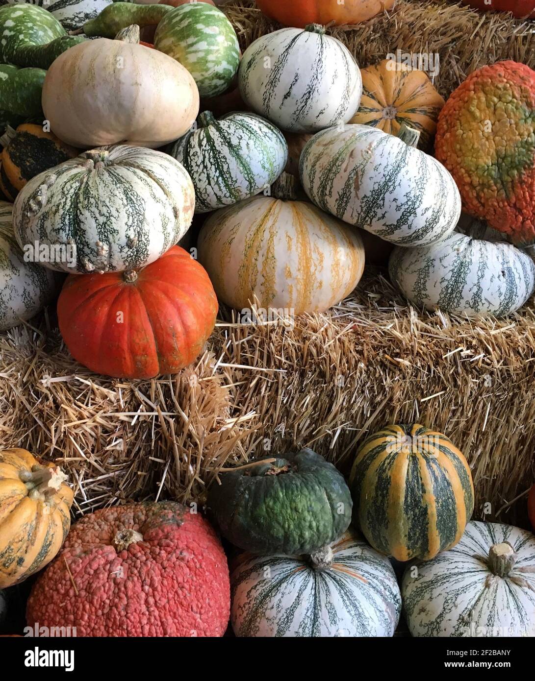 Hay bales full frame hi-res stock photography and images - Alamy