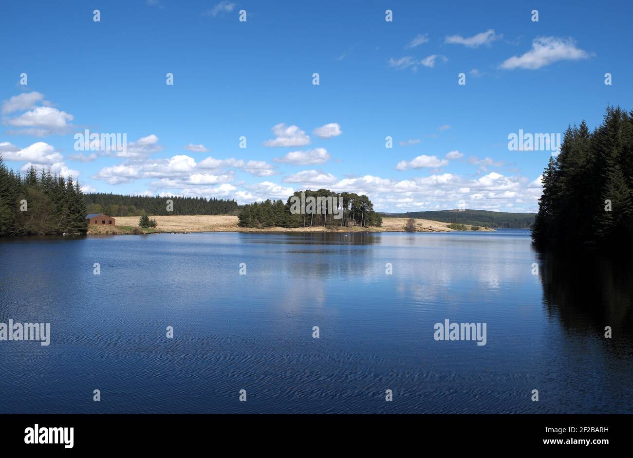 Northumberland national park spring hi-res stock photography and images ...