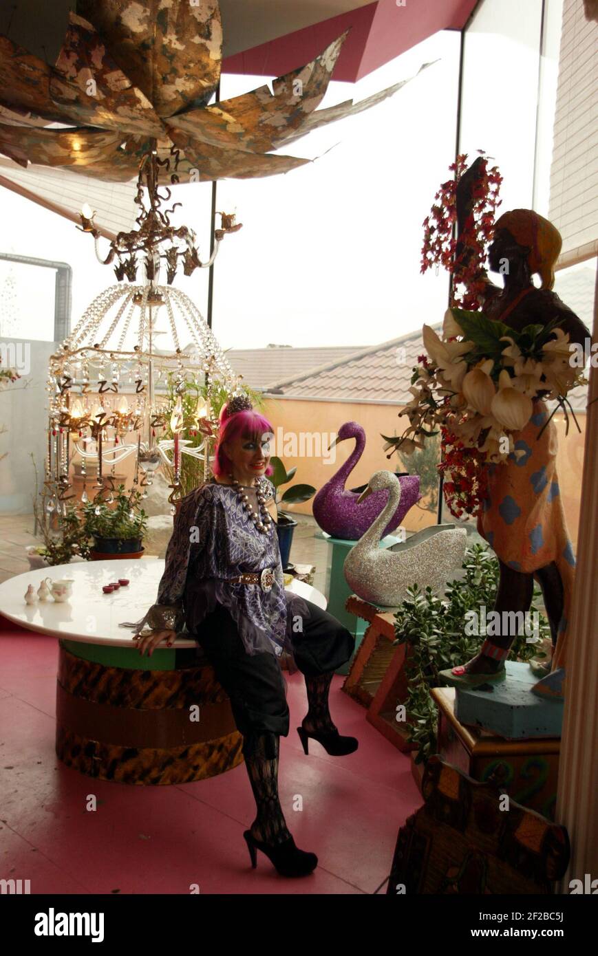 Zandra rhodes home hi-res stock photography and images - Alamy