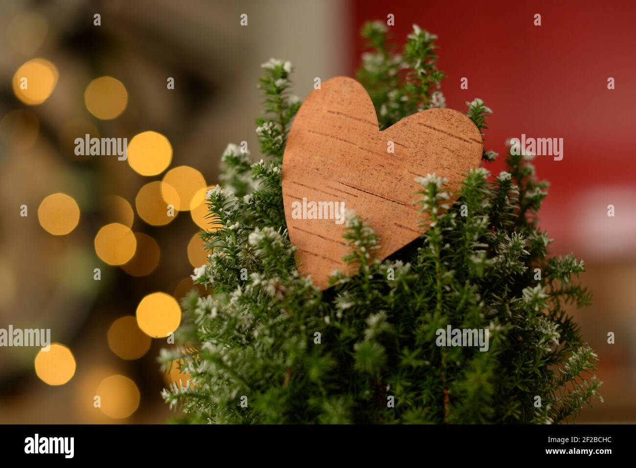 Fir shape hi-res stock photography and images - Alamy