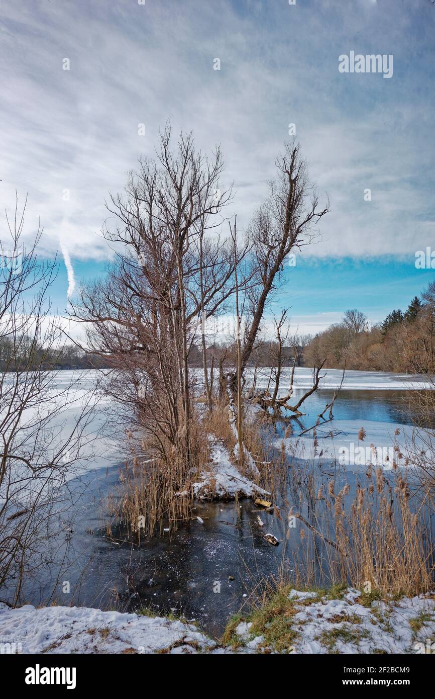 Frozen lake in winter, East Frisia, Lower Saxony, Germany Stock Photo ...