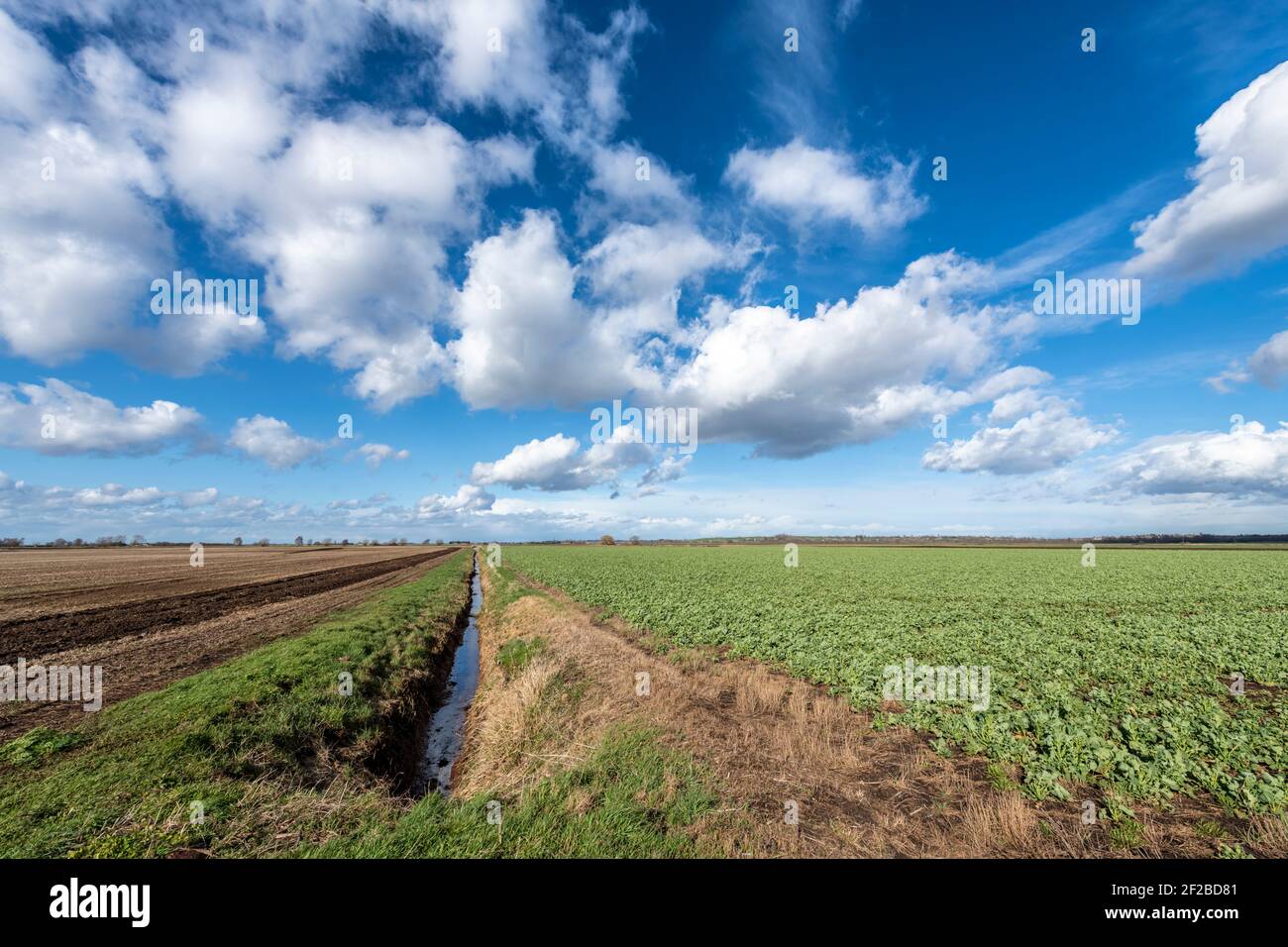 East anglia anglian rural big sky hi-res stock photography and images ...