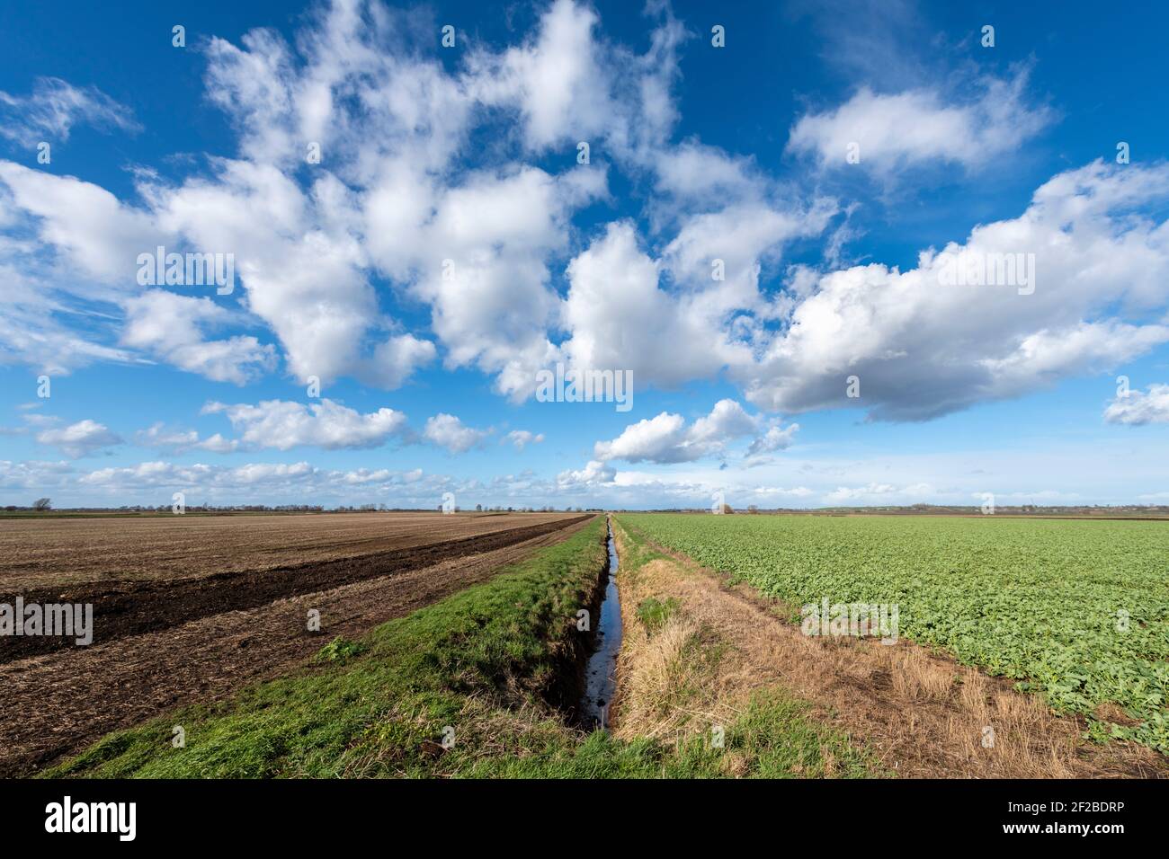 East anglia anglian rural big sky hi-res stock photography and images ...